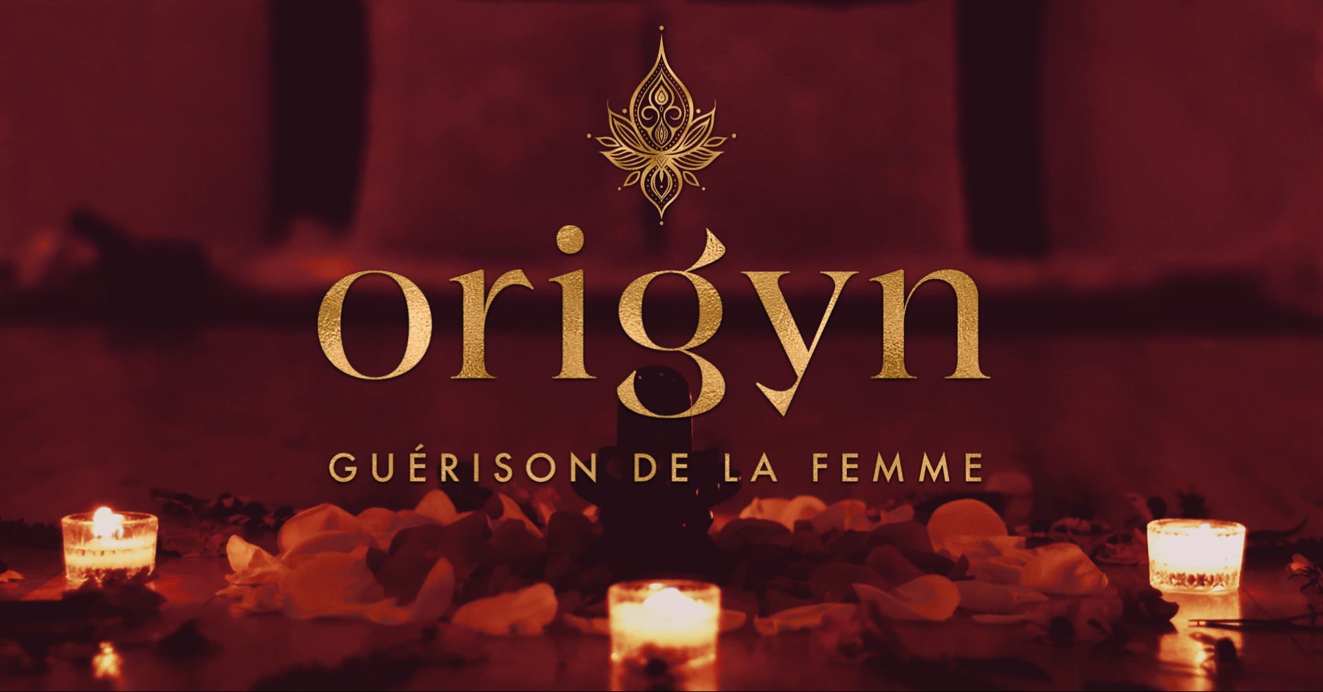 Termes et Conditions | ORIGYN